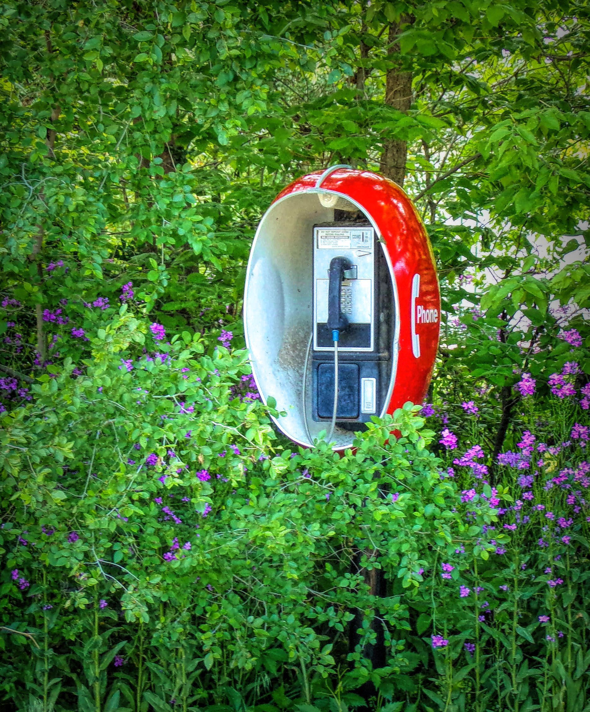 Ira S Flowers Spartanburg Sc | Best Flower Site