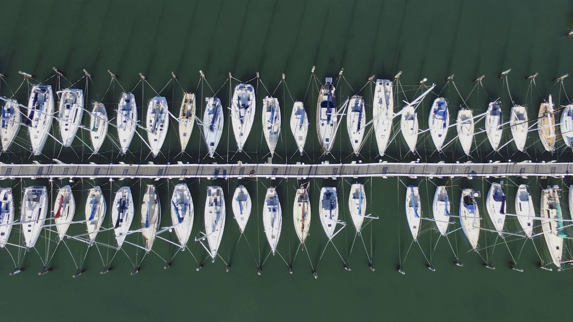 Andrew Olson | GuruShots