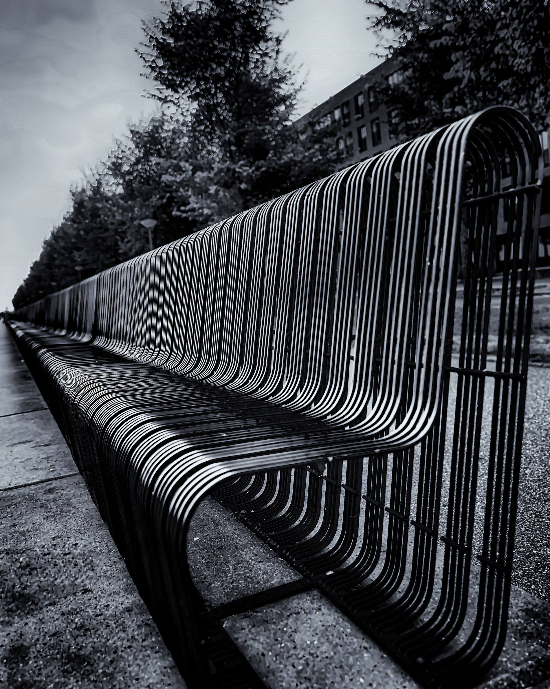 the longest bench of the world by Ewout Paulusma