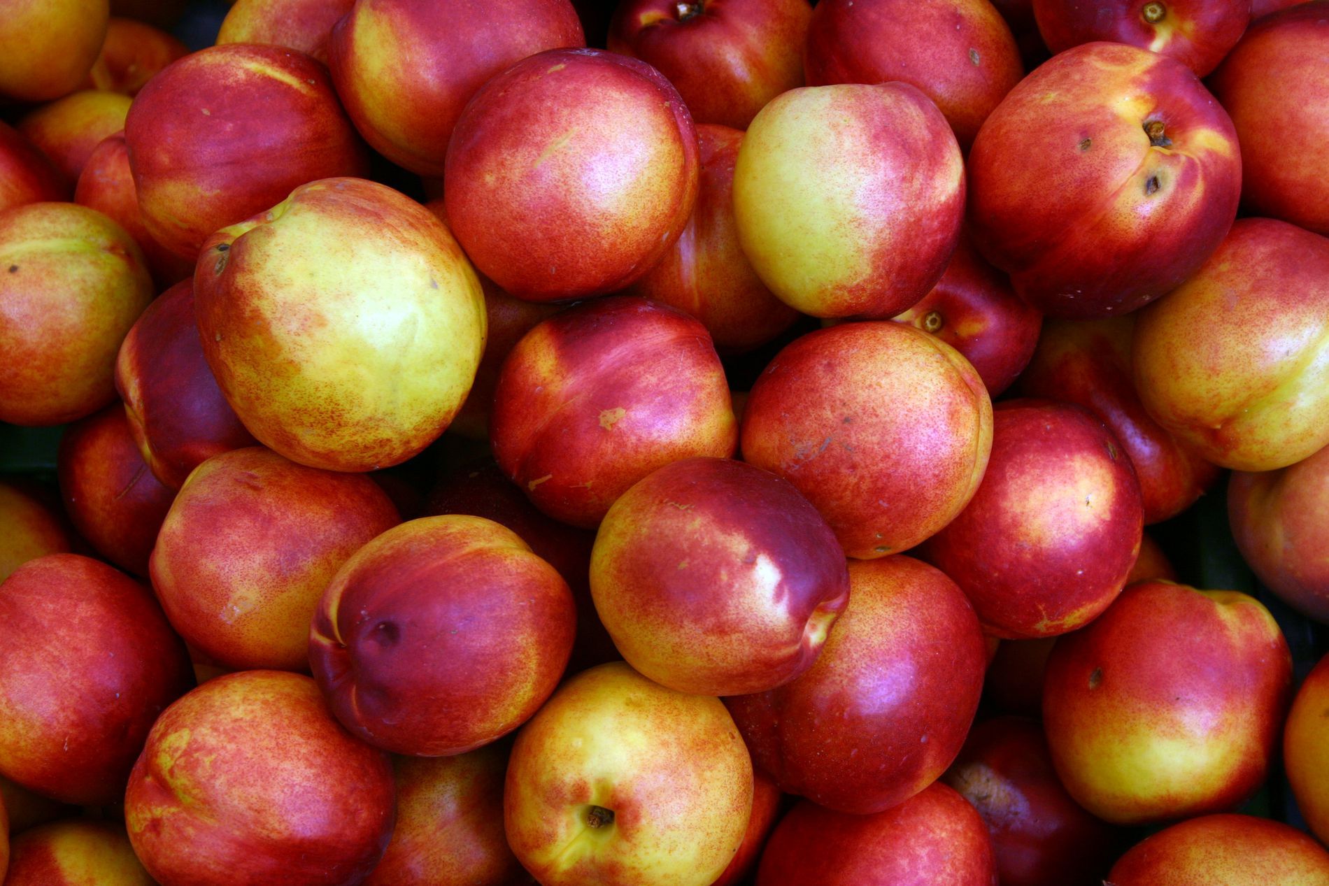 avap ⭐️ | GuruShots