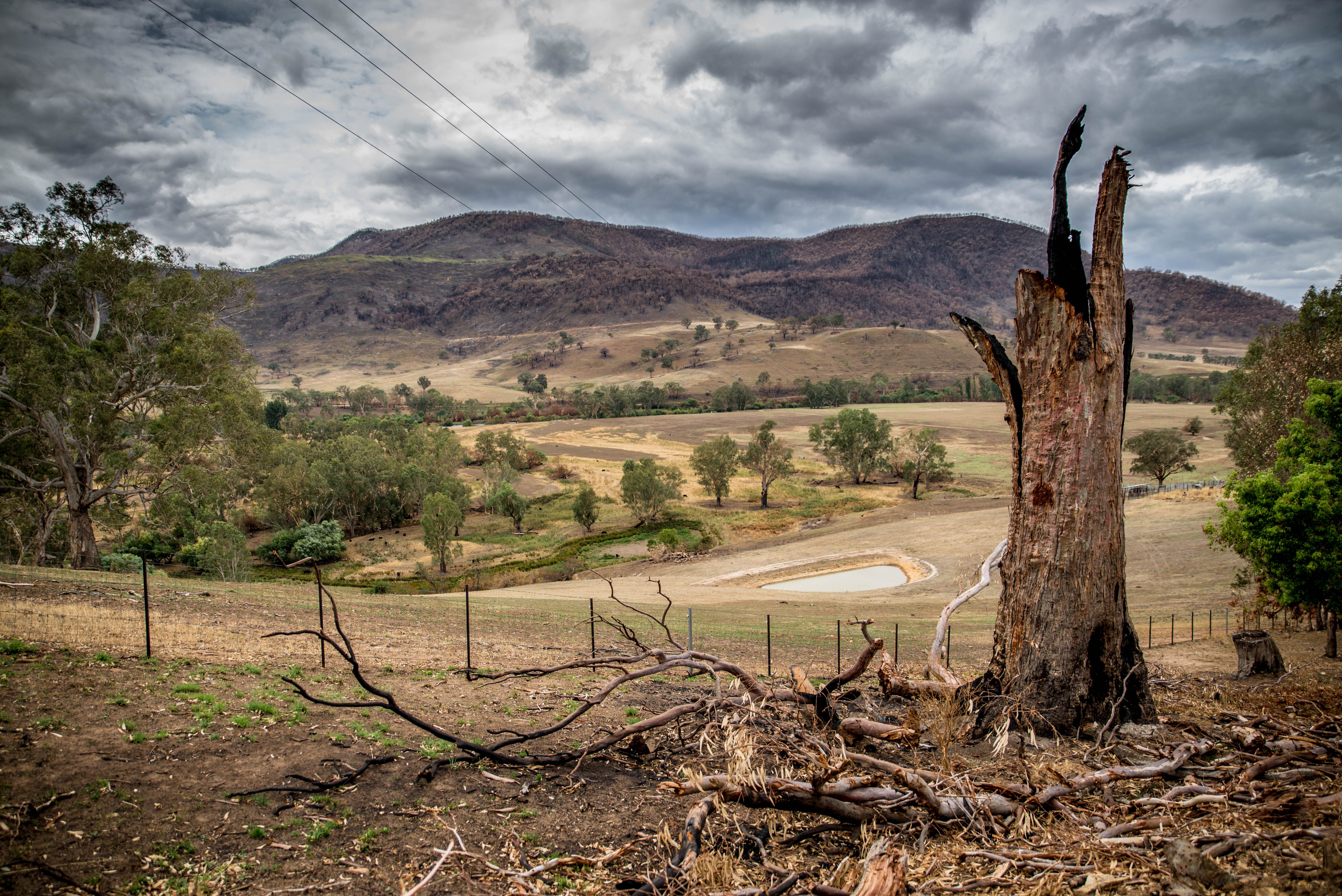 Troy Webb | GuruShots