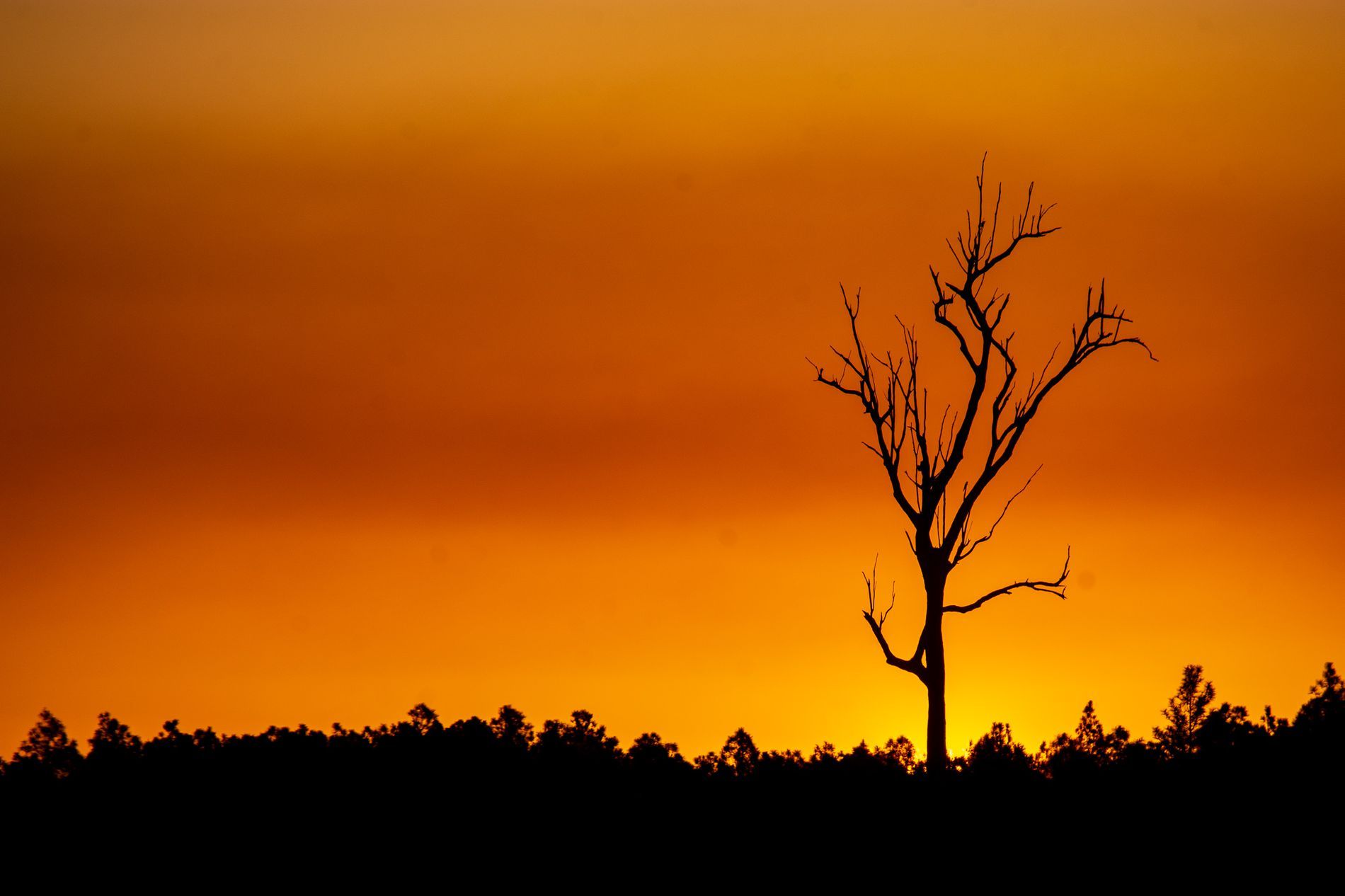 Troy Stephenson | GuruShots