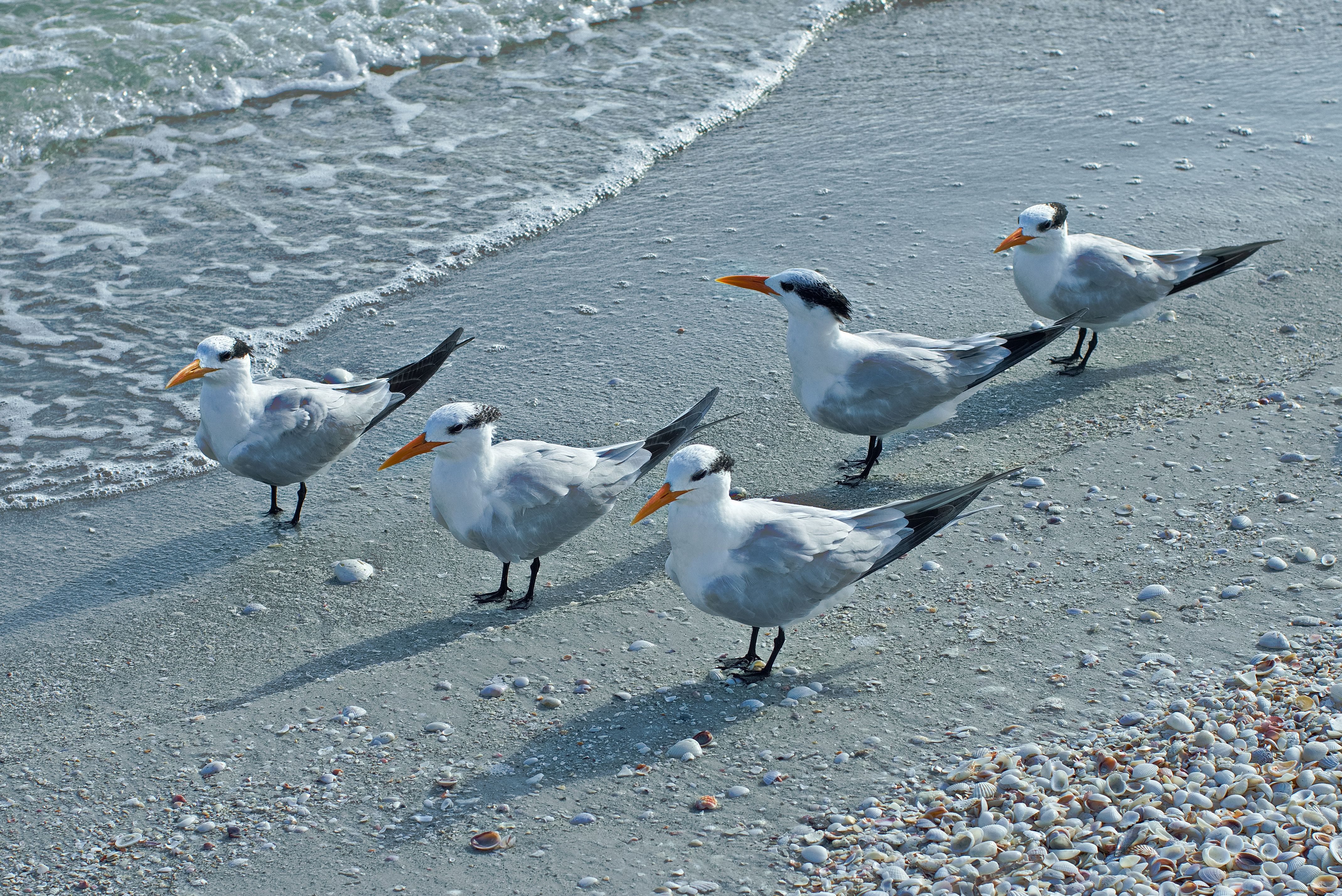 Michael Bendixen | GuruShots