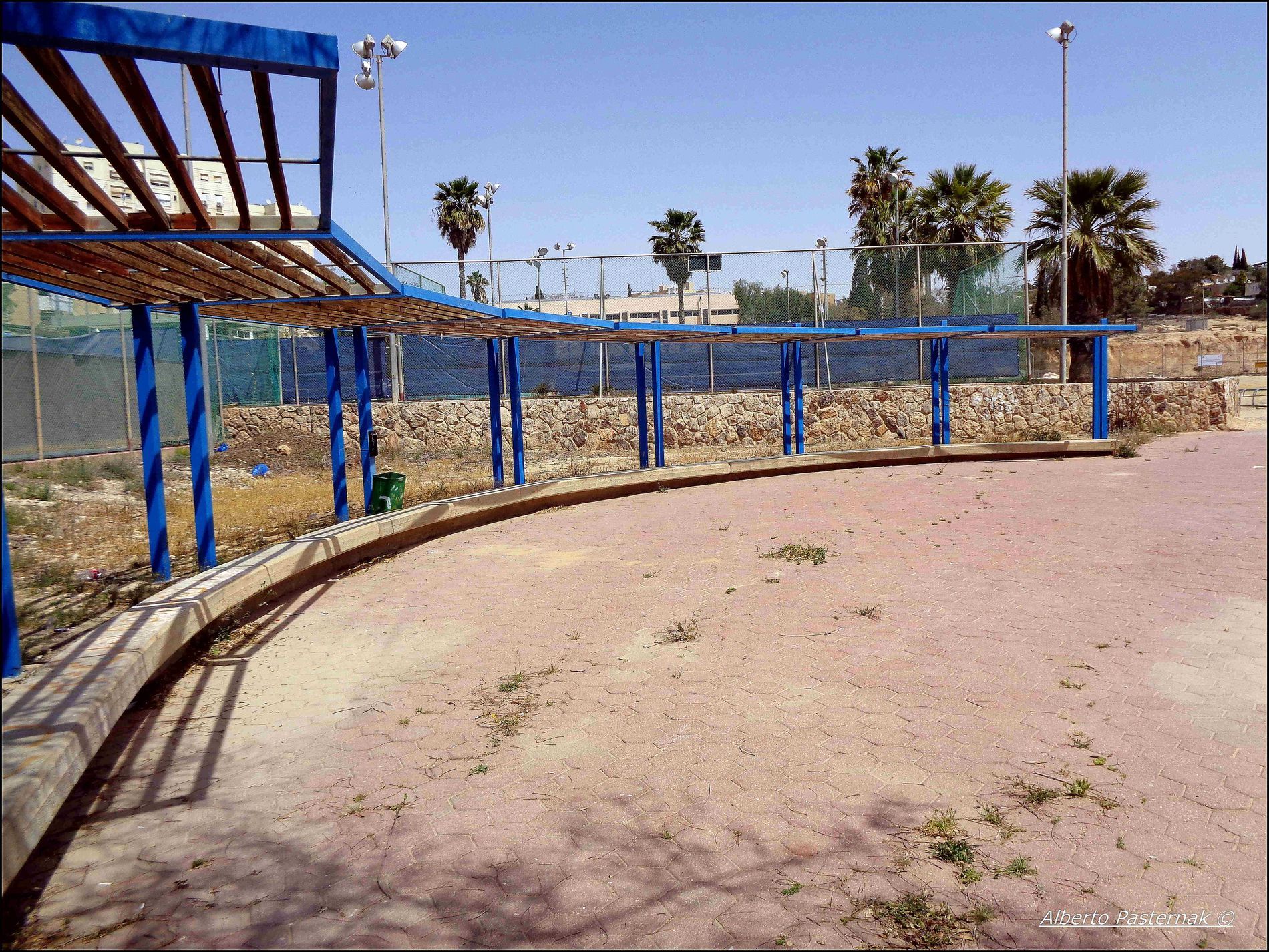 Alberto Pasternak | GuruShots