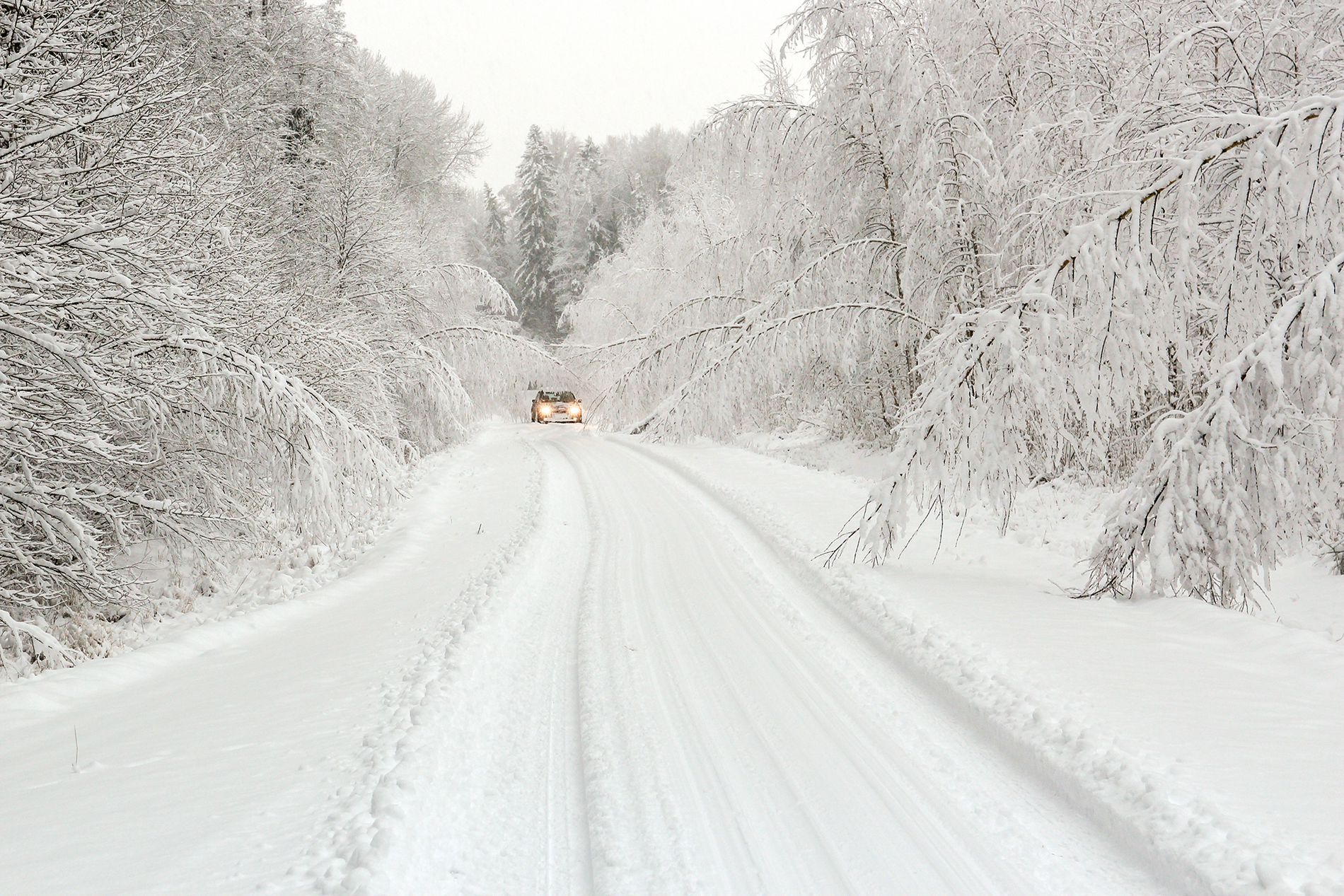 Erika Baltina | GuruShots