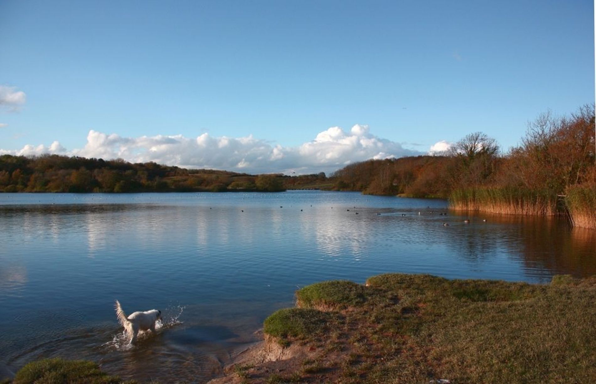 Cosmeston Lake by Chrissie Barrow