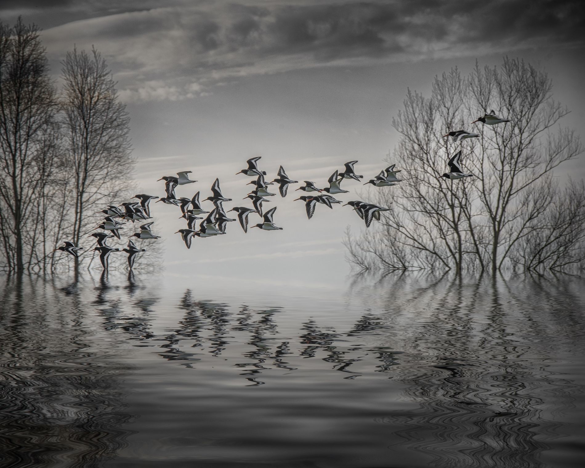 Egon Zitter | GuruShots