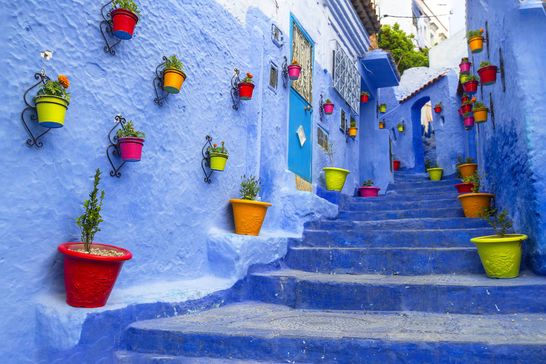 10+ Delightful Color Photographs (With Technical Details)