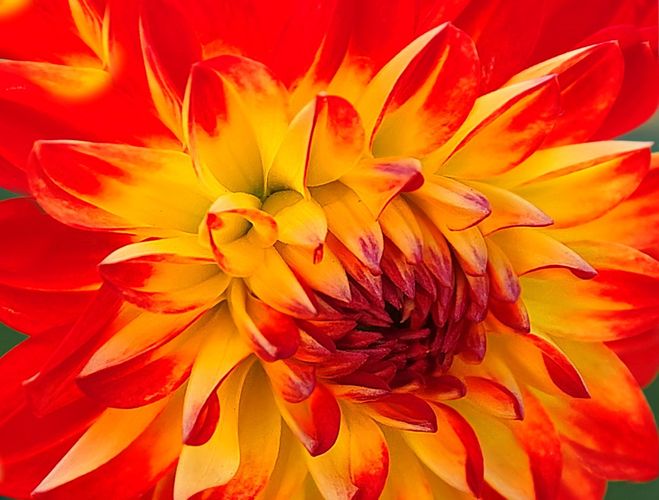 Luna Lucy | GuruShots