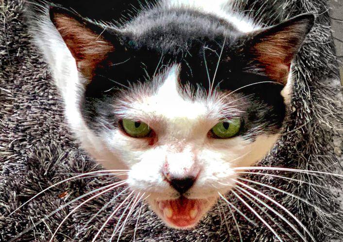 Nuno Aguiar | GuruShots