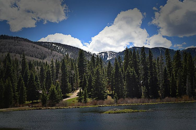 Emil Gunnary | GuruShots