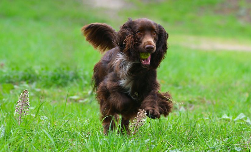 GuruShots | Photo Challenges