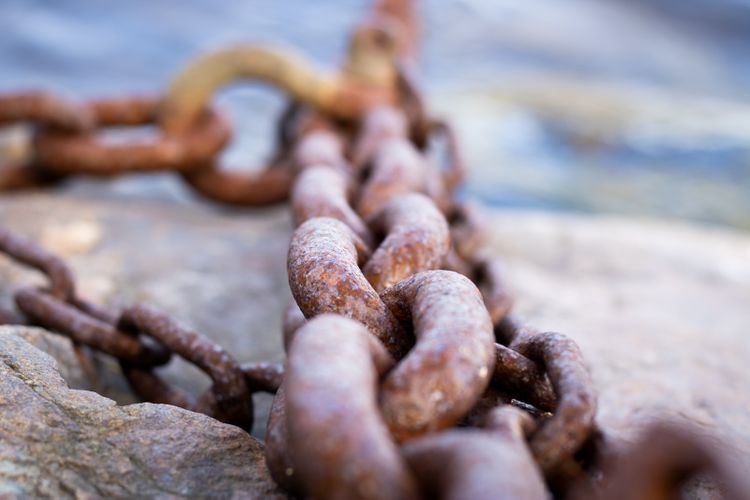 GuruShots | Photo Challenges