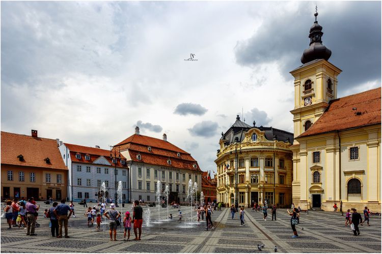 Florin Rusu | GuruShots