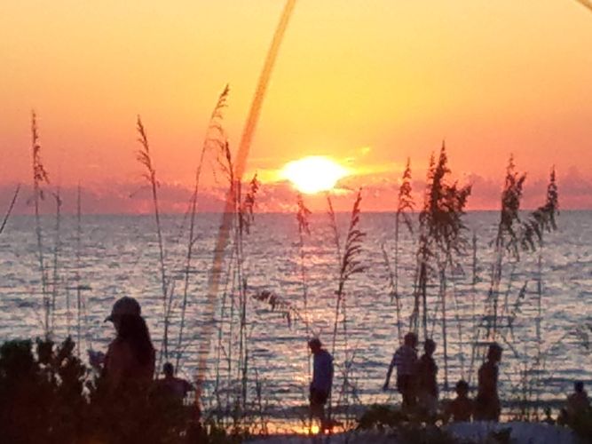 Robert Kinnie | GuruShots