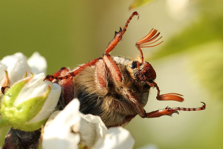 Erika Baltina | GuruShots
