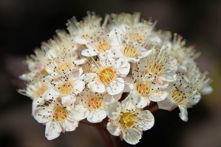 Erika Baltina | GuruShots