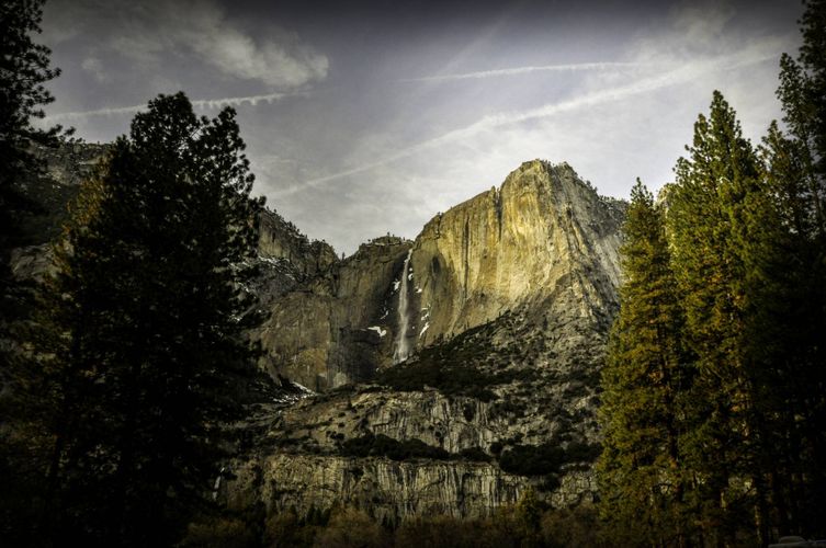 Ed Johnson | GuruShots