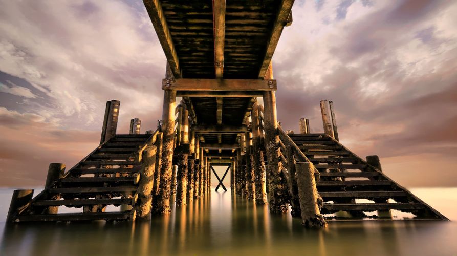 Low Vantage Point Photo Challenge