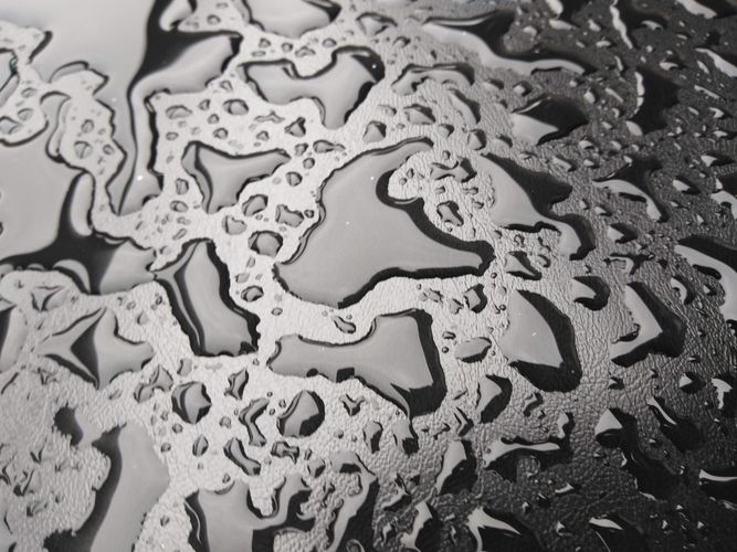 Amber Coen | GuruShots