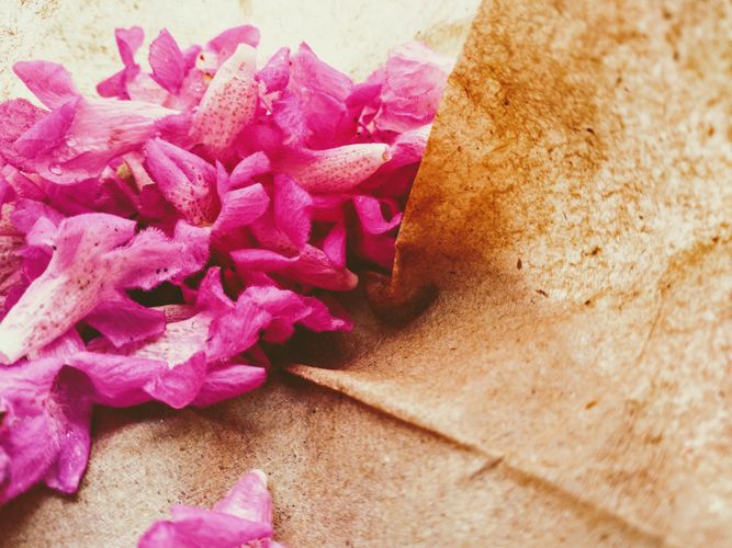 Amber Coen | GuruShots