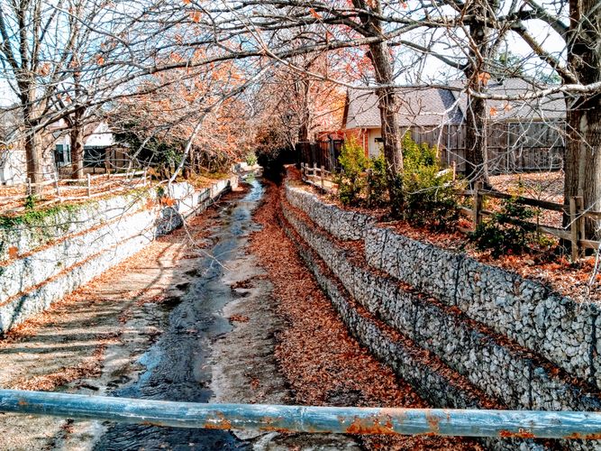 Amber Coen | GuruShots