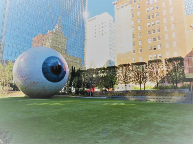 Amber Coen | GuruShots