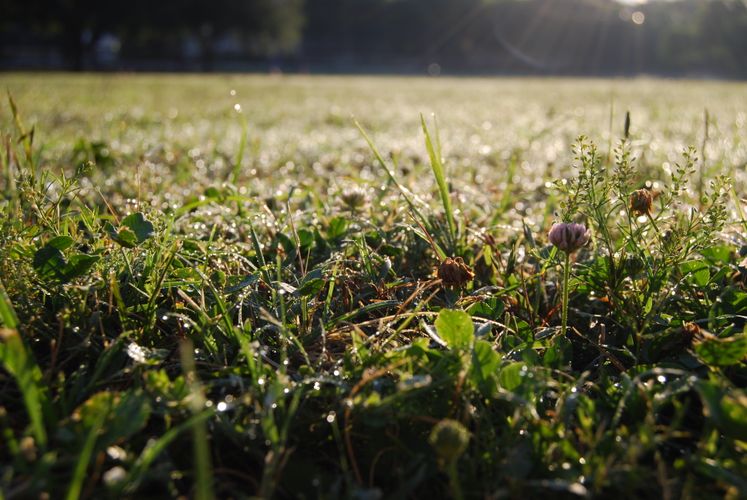 Amber Coen | GuruShots