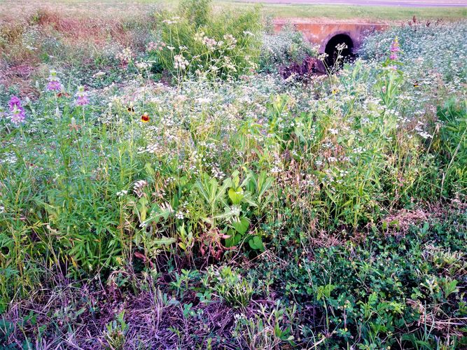 Amber Coen | GuruShots