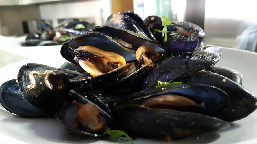 Fenia Rap | GuruShots