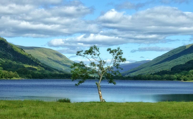 Max Operandi | GuruShots