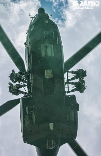 Nerisha Ray Singh | GuruShots