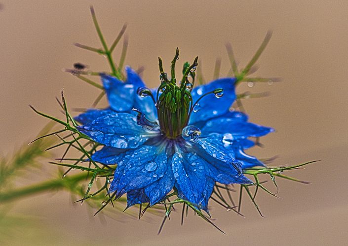 Helkoryo Photography | GuruShots
