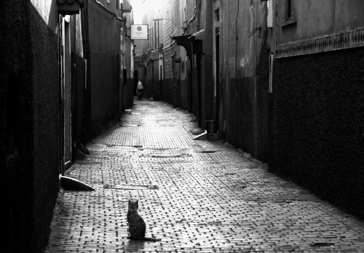 Christian Heitz | GuruShots