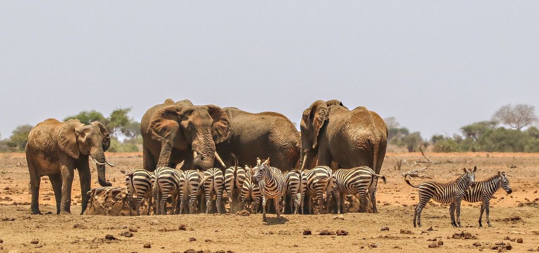 Christian Heitz | GuruShots