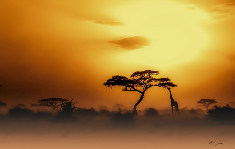 Christian Heitz | GuruShots