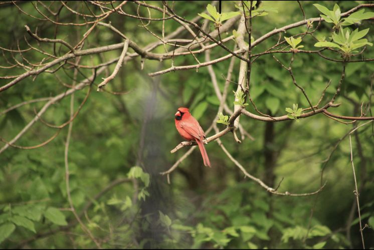 GuruShots | Photo Challenges