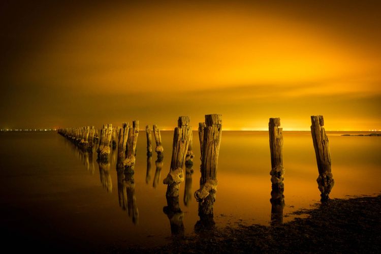 The Golden Light Photo Challenge