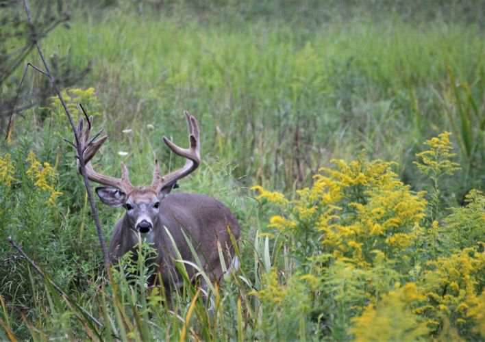 Jim Guida | GuruShots