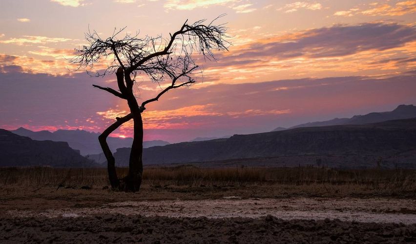 Amanda van Blerk | GuruShots