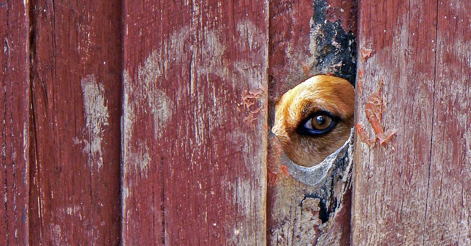 Unusual Compositions Photo Challenge