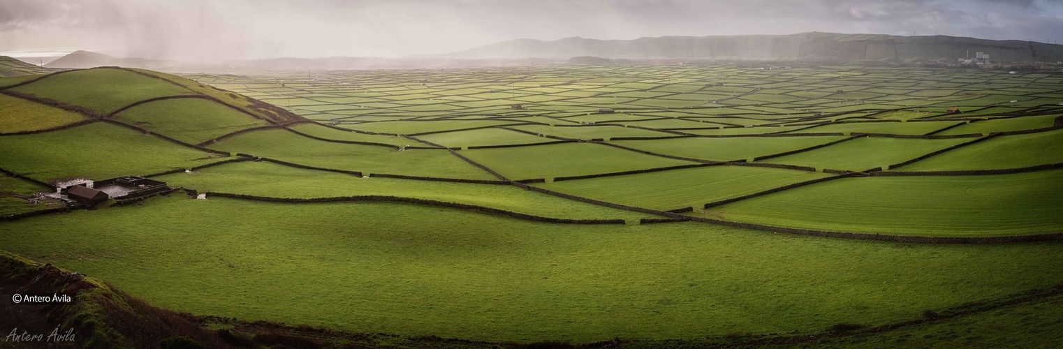 GuruShots | Photo Challenges