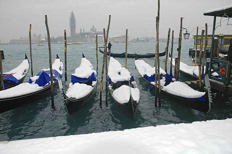 Timothy Sutherland | GuruShots