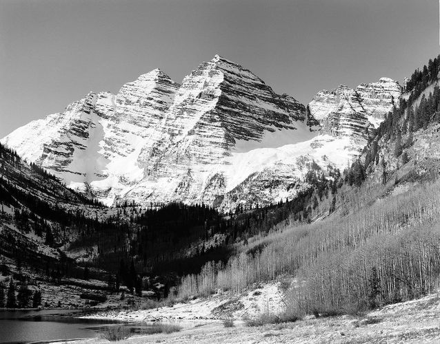 Timothy Sutherland | GuruShots