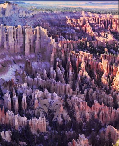 Timothy Sutherland | GuruShots