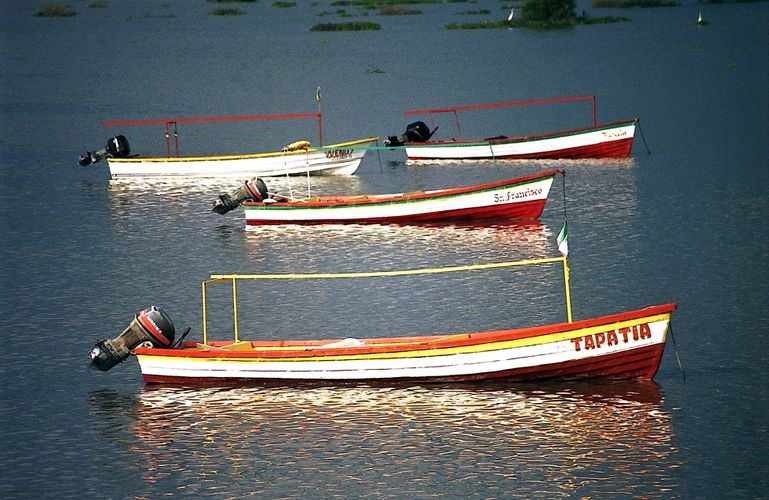 Timothy Sutherland | GuruShots