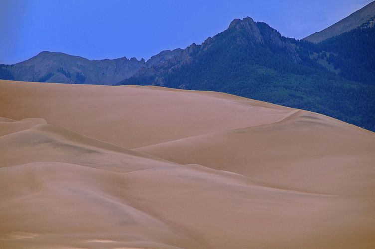 Timothy Sutherland | GuruShots