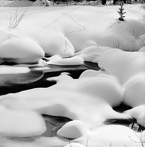 Timothy Sutherland | GuruShots