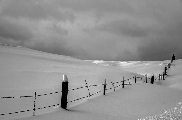 Timothy Sutherland | GuruShots