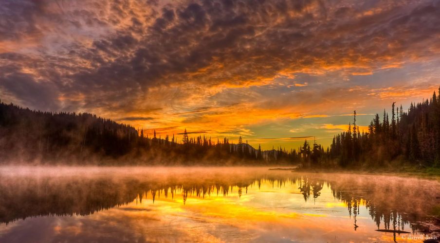 The Golden Light Photo Challenge